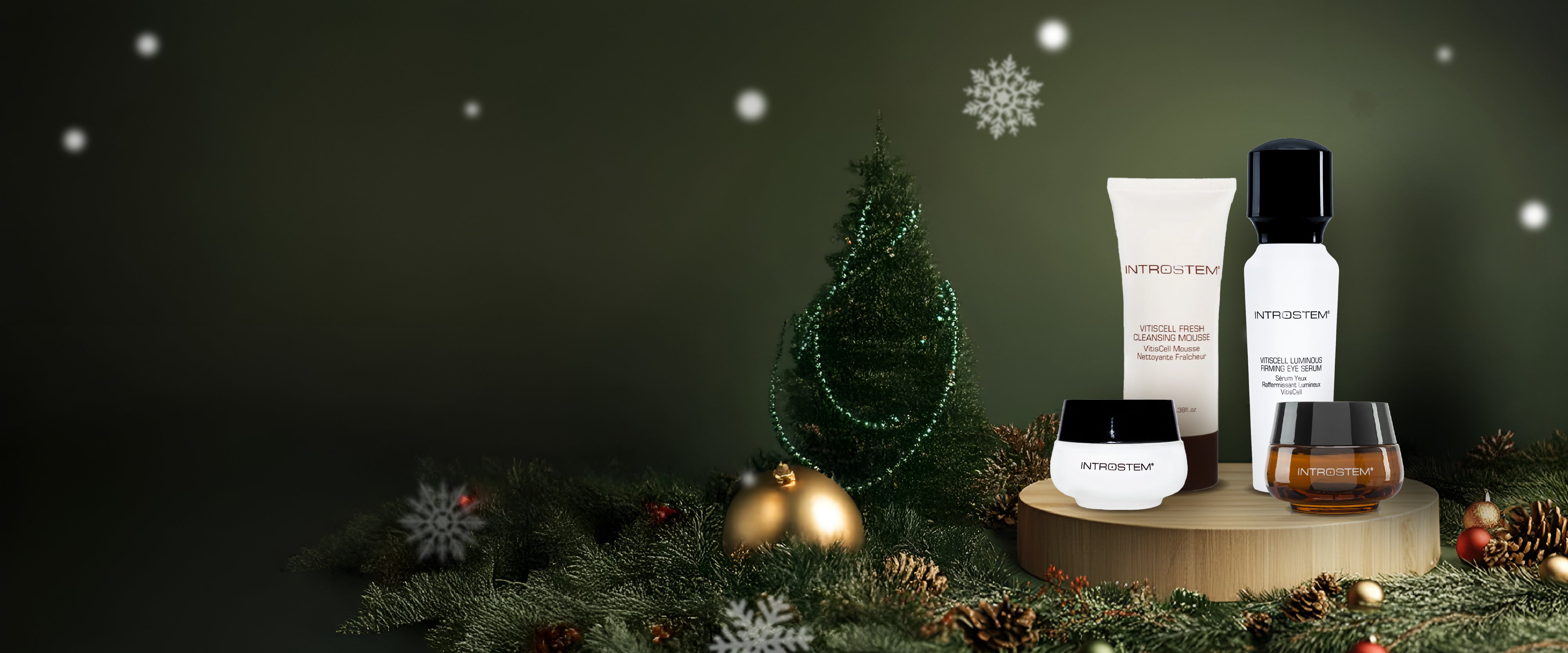 Introstem – introstemmx