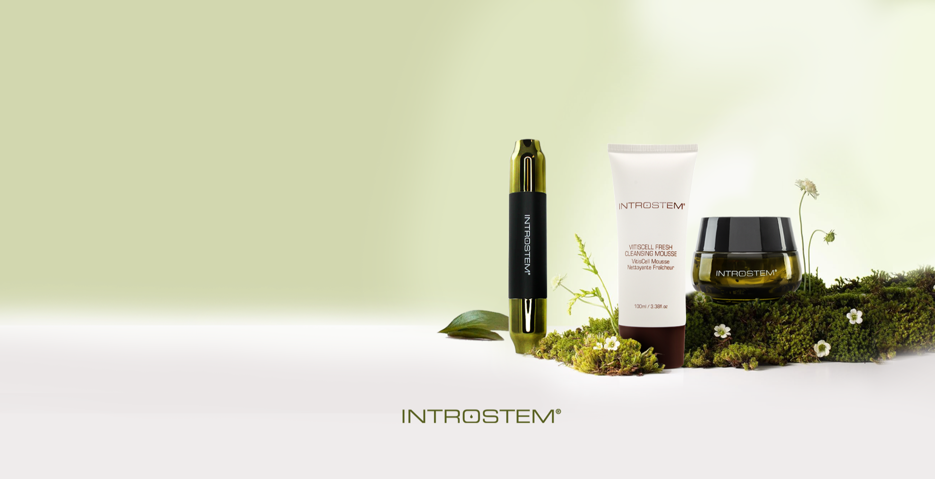 Introstem – introstemmx
