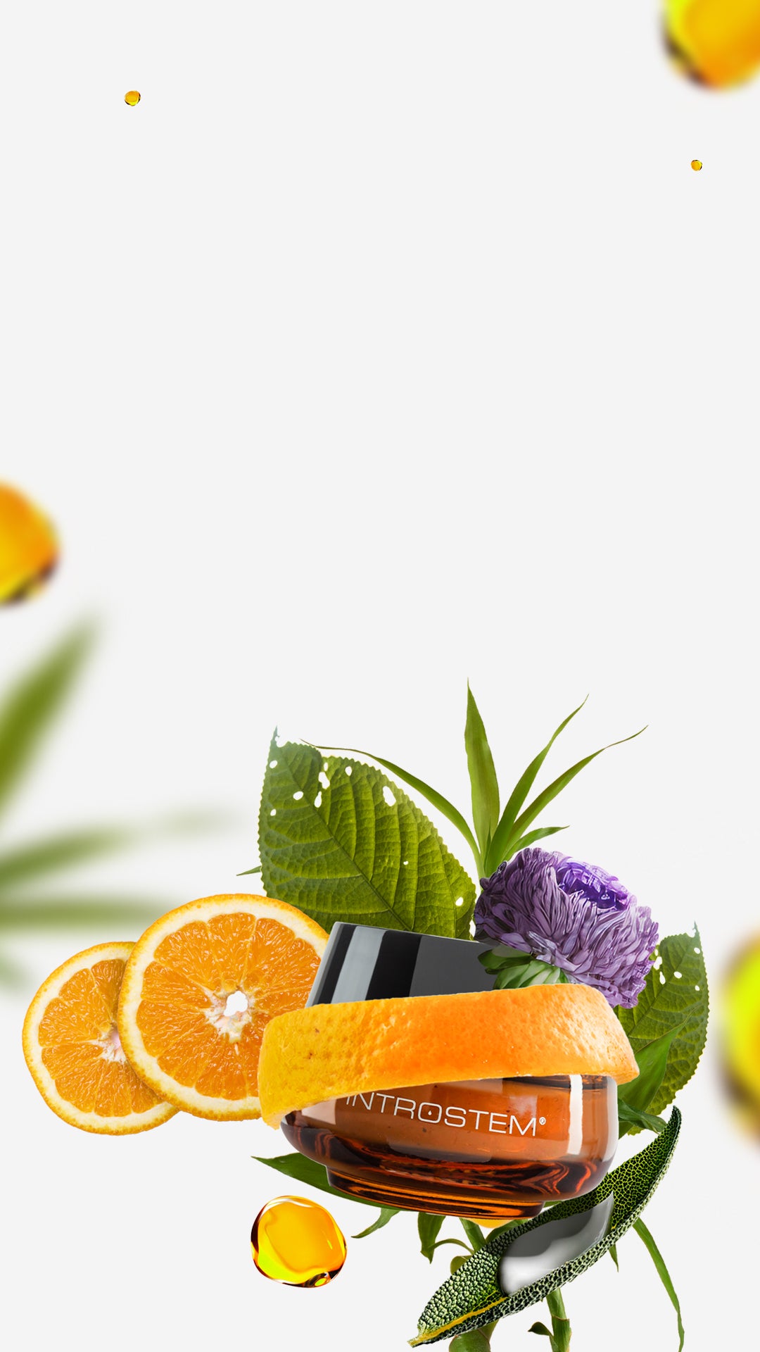 Introstem – introstemmx