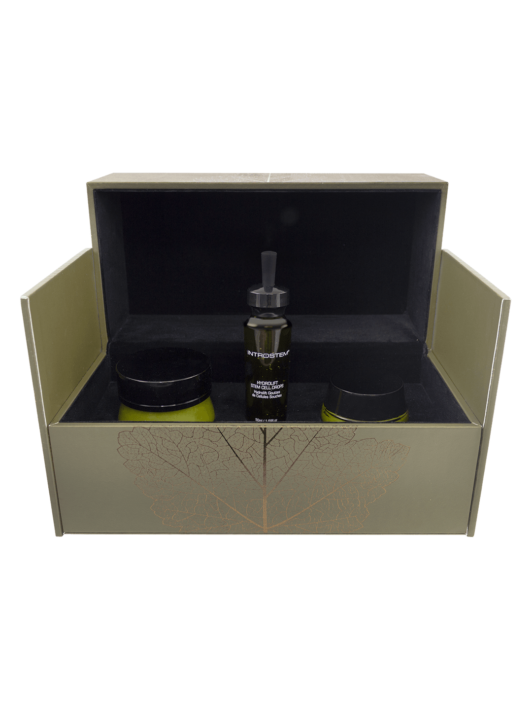 Productos – introstemmx