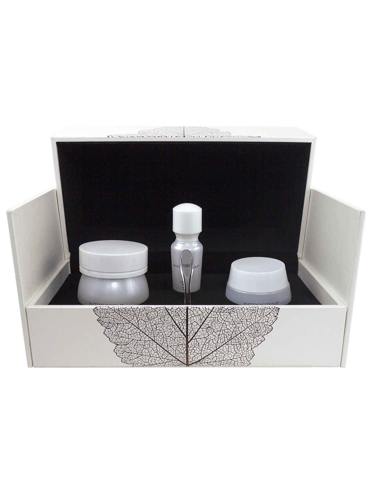 Productos – introstemmx