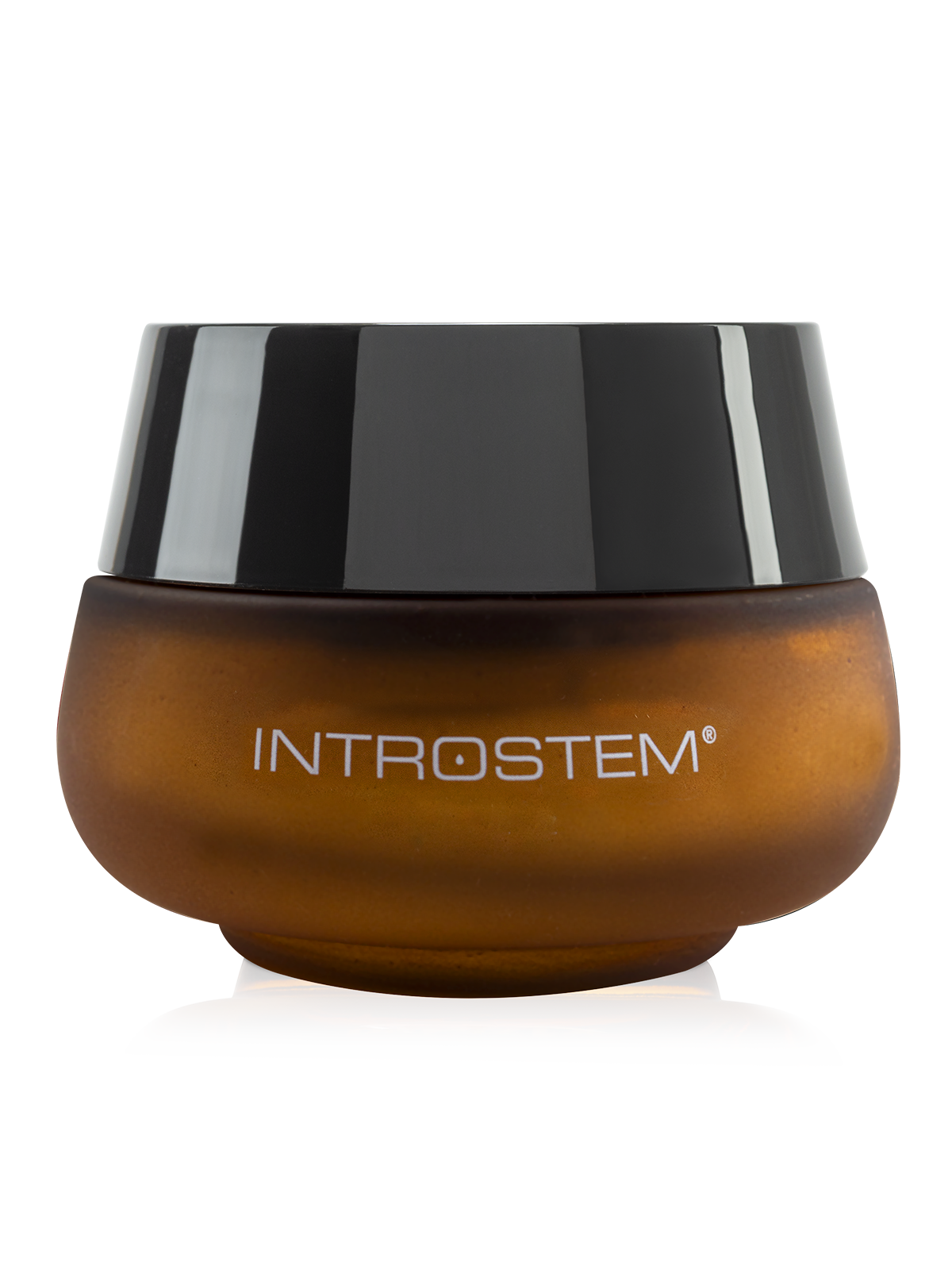 Introstem – introstemmx