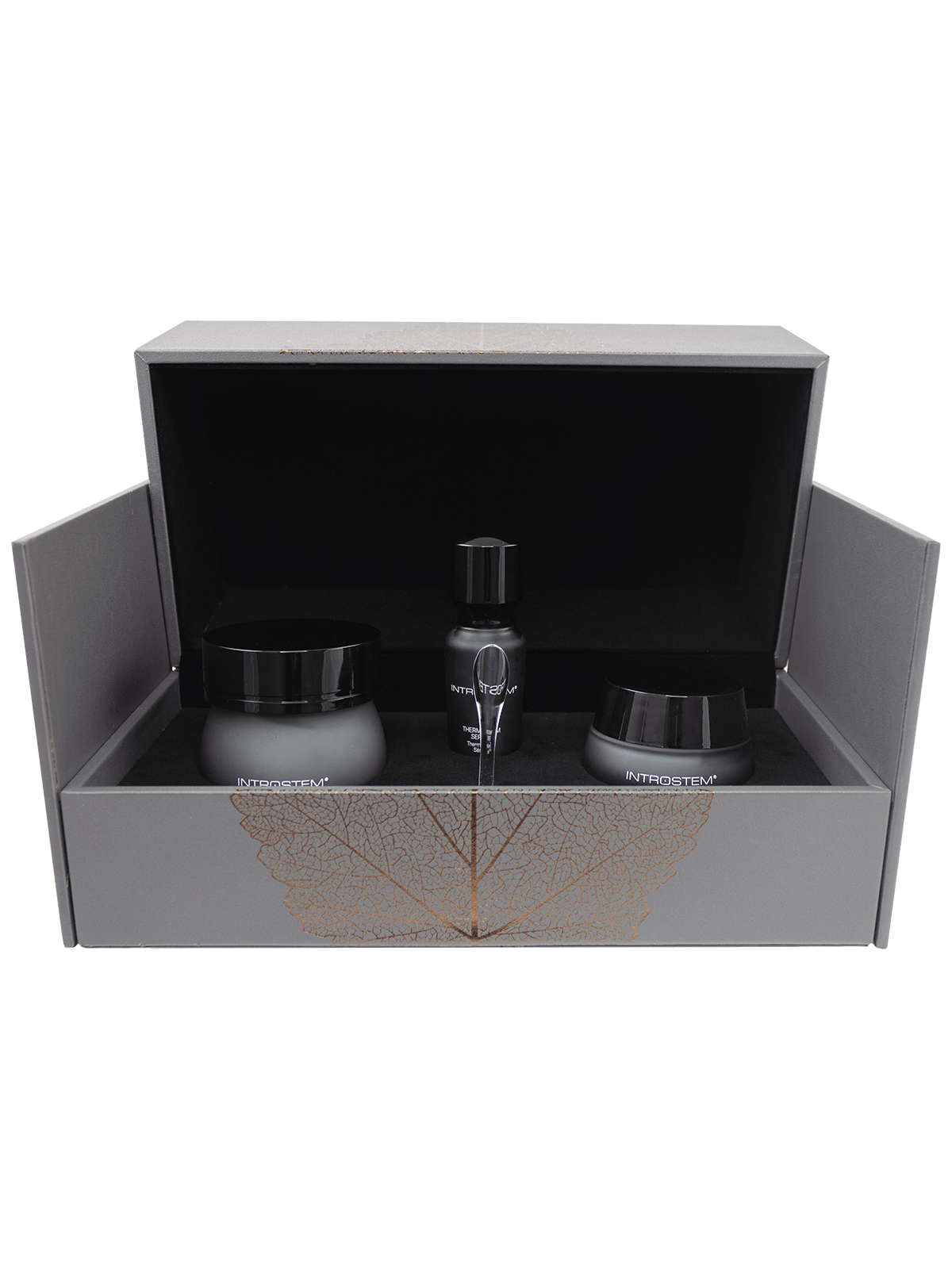 Productos – introstemmx